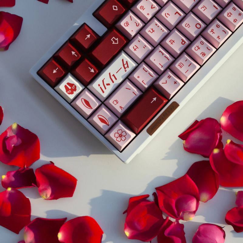 Key Kobo Darling | Shopee Việt Nam