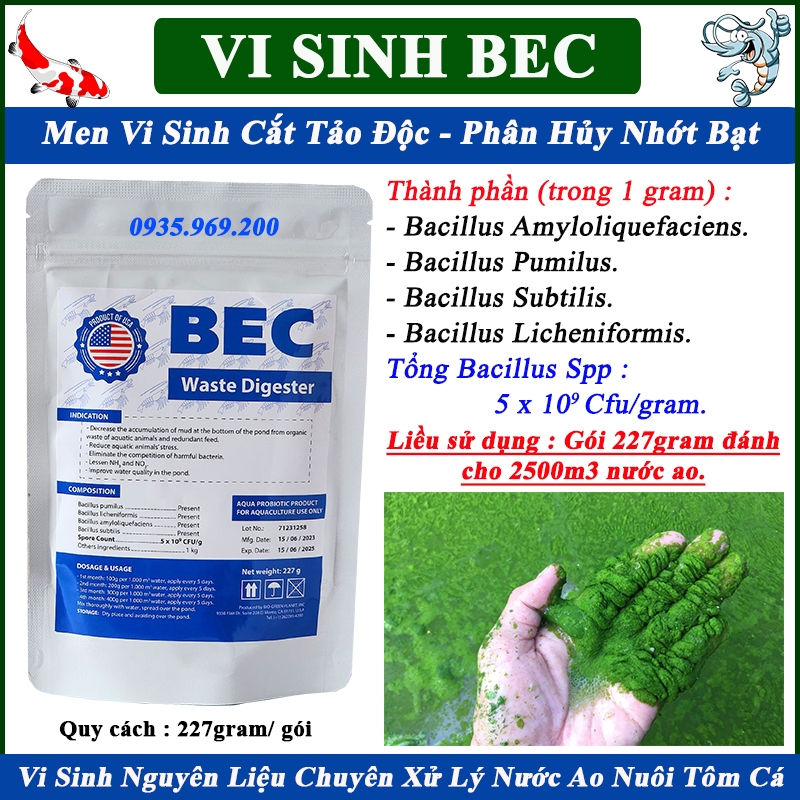 Men vi sinh cắt tảo, vi sinh xử lý nước ao nuôi tôm cá, Vi sinh BEC gói ...