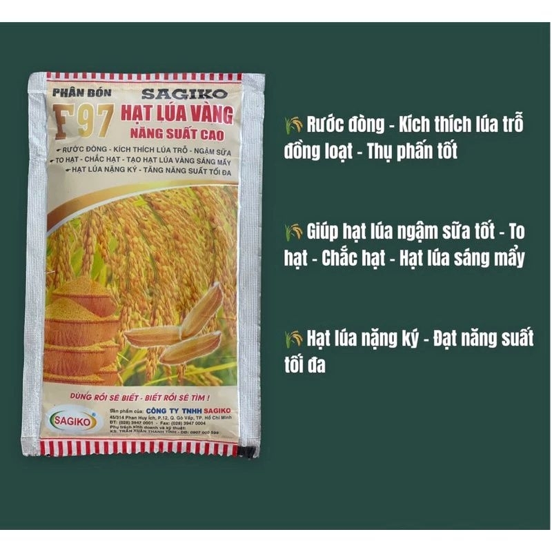 Phân bón lúa siêu năng suất, f97 hạt lúa vàng năng suất cao | Shopee ...