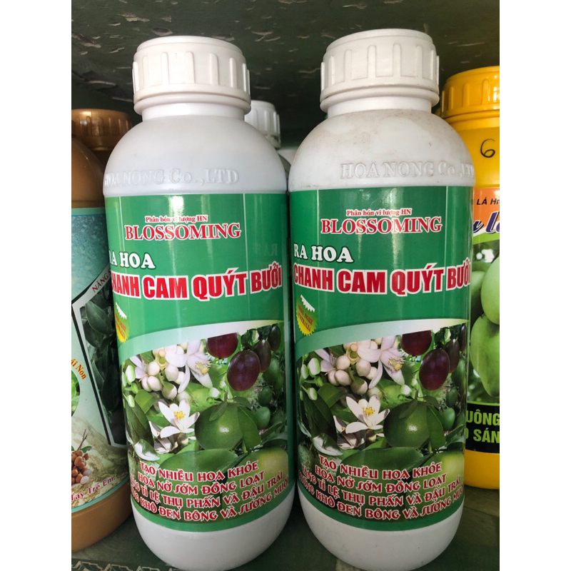 RA HOA CHANH CAM QUÝT BƯỞI 1 LÍT | Shopee Việt Nam