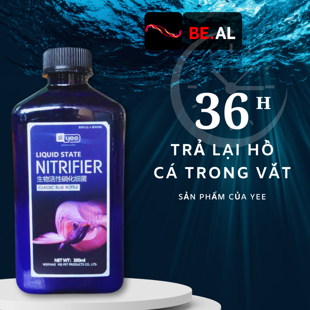Chế phẩm sinh học Nitrifier sản phẩm đến từ Yee hỗ trợ các nitrat hoá ...