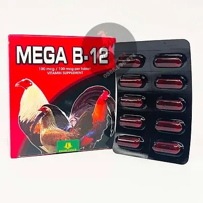 Mega B12 – Hộp 100 Viên – Philippines | Shopee Việt Nam