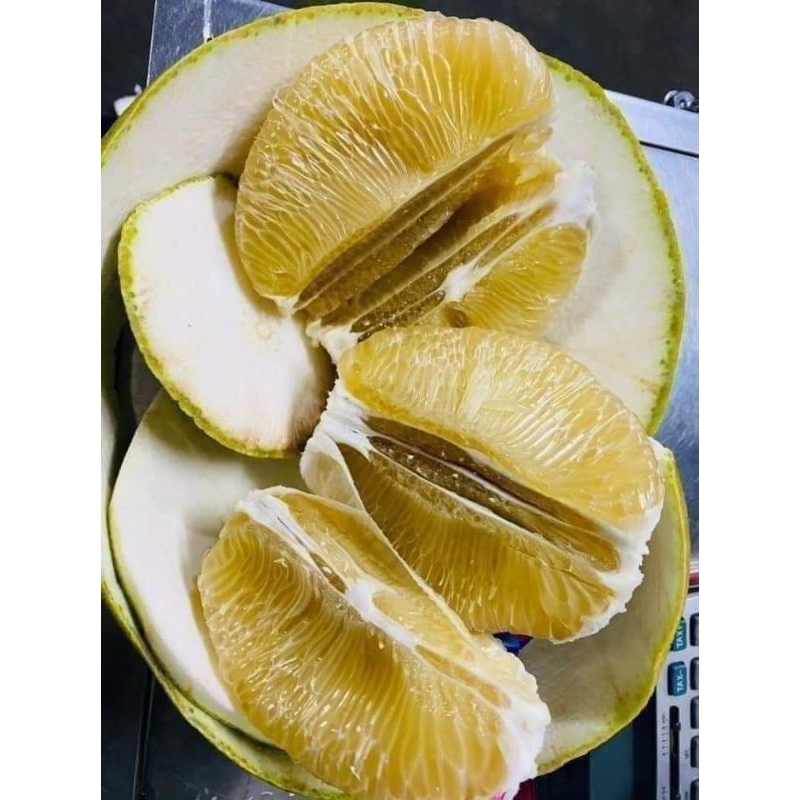 Cây giống bưởi năm roi | Shopee Việt Nam