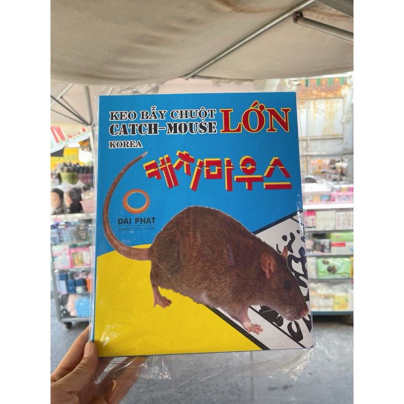 Keo bẫy chuột lớn catch mouse korea (1 miếng) - keo dán chuột cống, keo ...
