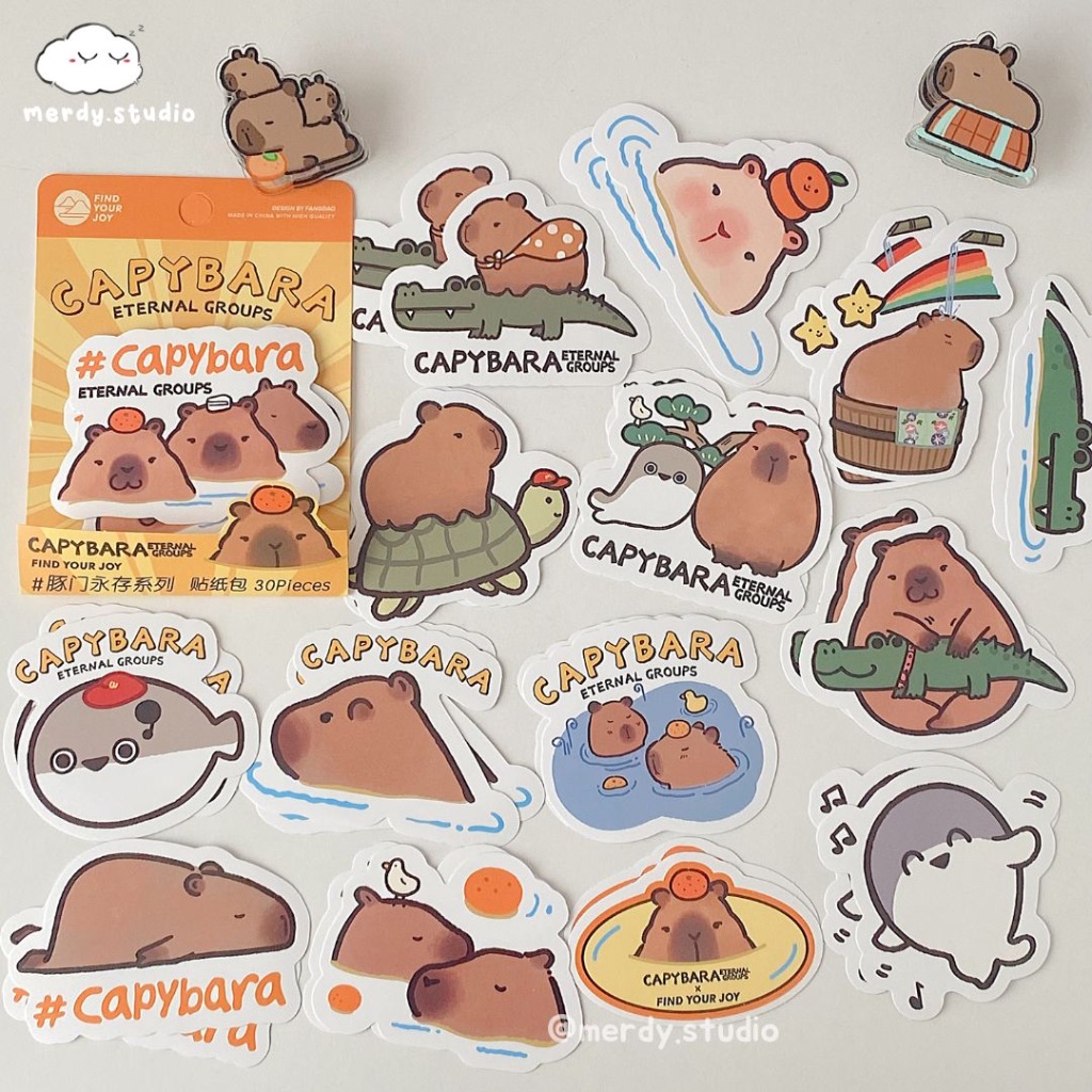 Set 30 tấm sticker Capybara size to | Shopee Việt Nam
