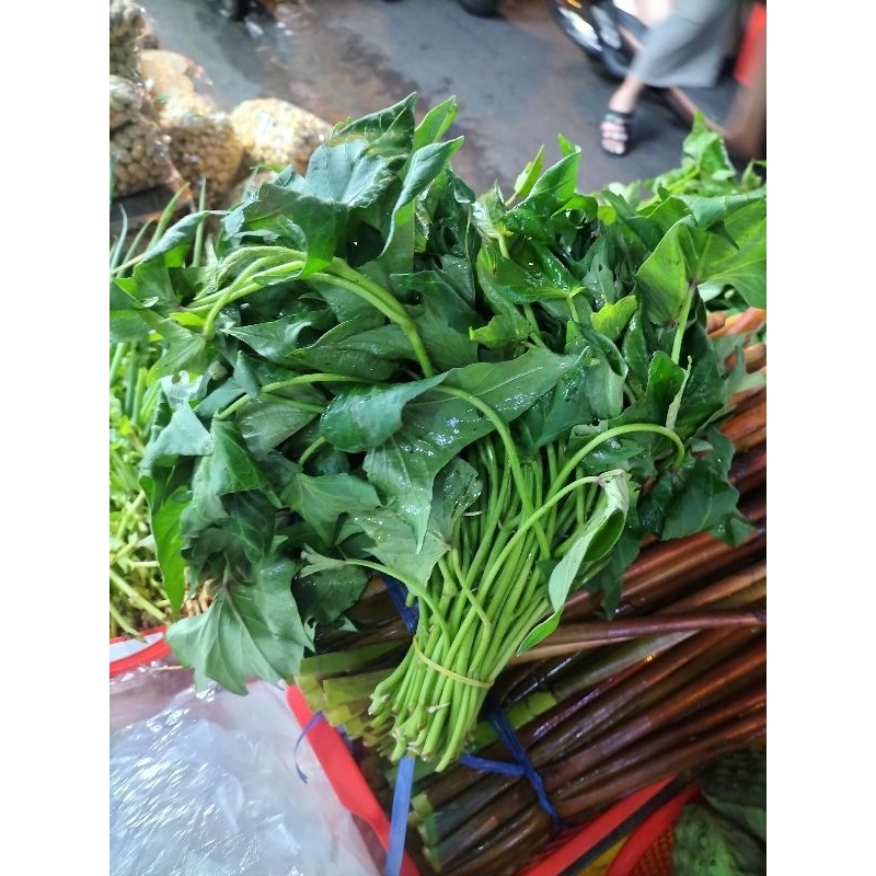 rau lang 500g | Shopee Việt Nam