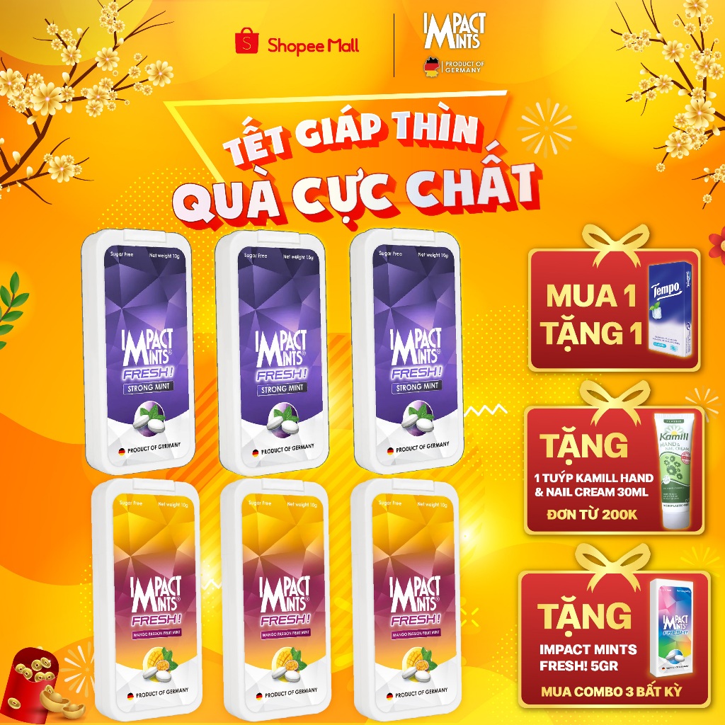 Combo 6 Hộp Kẹo Ngậm Bạc Hà Không Đường IMPACT MINTS FRESH 10G 3 Hộp Vị ...