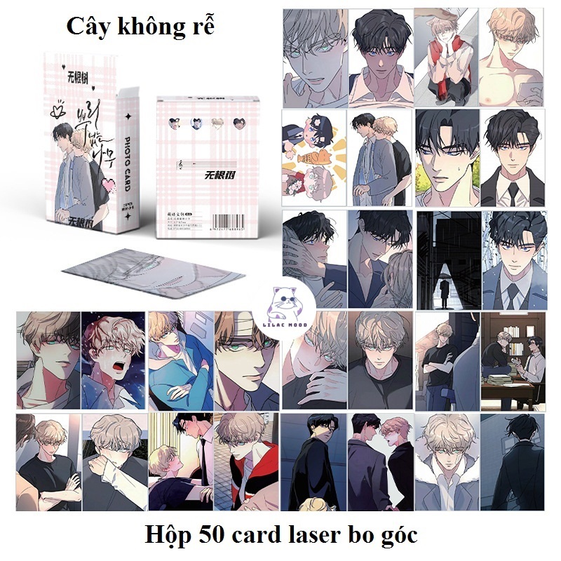 (sẵn-4 mẫu) Cây không rễ | Hộp thẻ card laser 50 tấm (mới) Lomo Lomocard bo góc Rootless Tree ...