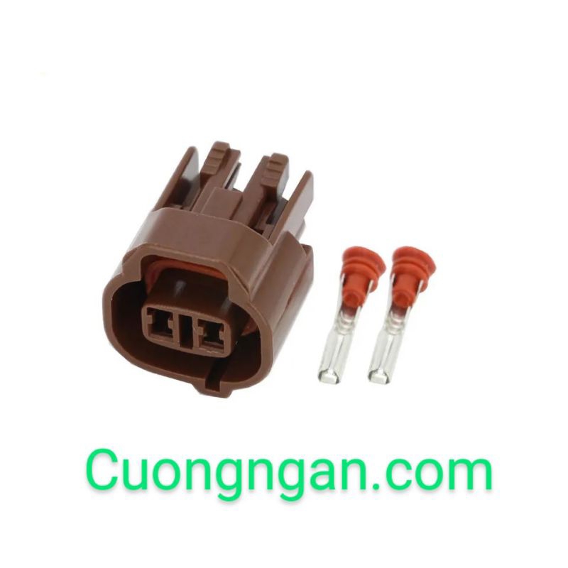 Giắc cắm 2 dây (Connector 2 pin plug) DJ7025-2-21 6189-0033 | Shopee Việt Nam