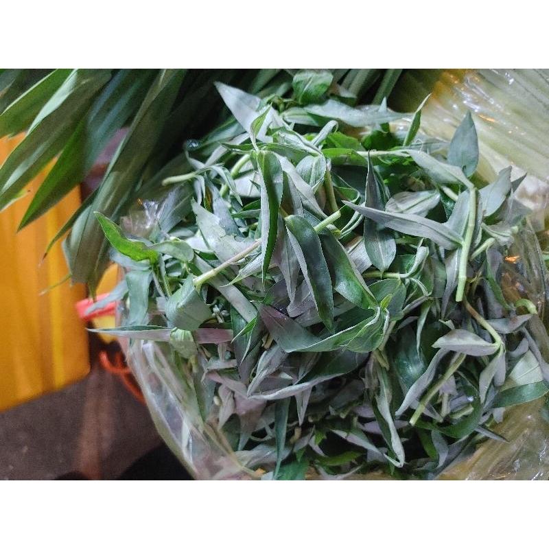 đọt rau trai 500g | Shopee Việt Nam