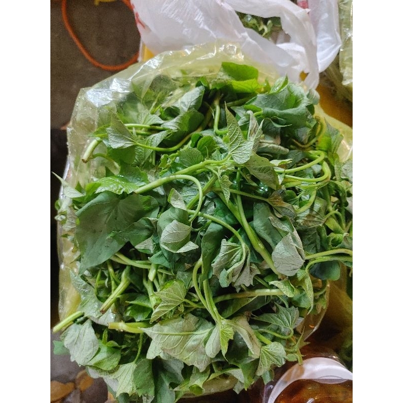 đọt rau lang 500g | Shopee Việt Nam
