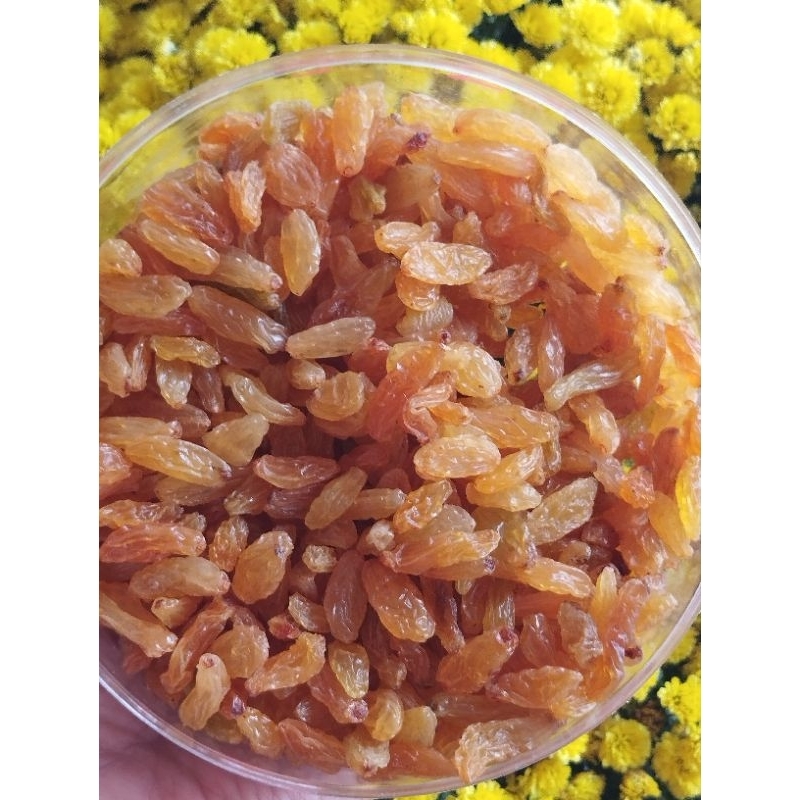 Nho khô raisin Hộp 500gr | Shopee Việt Nam