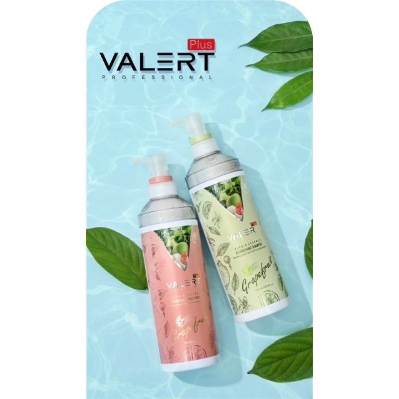 (Chính hãng) Dầu gội xả bưởi Valert phục hồi tóc hương thơm nước hoa ...