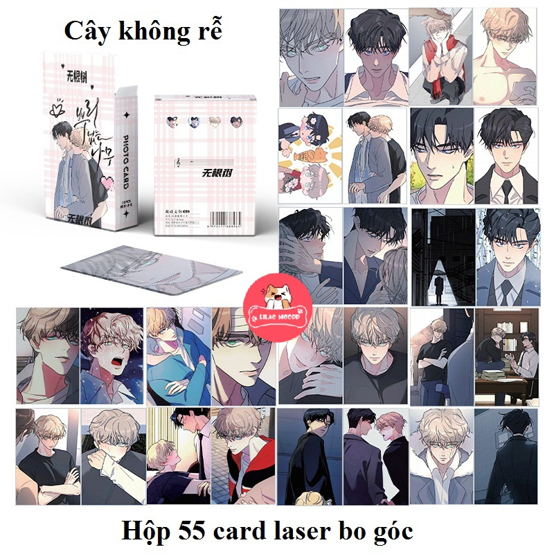sẵn Cây không rễ | Hộp thẻ card laser 55 tấm lomo lomocard nhân vật ...