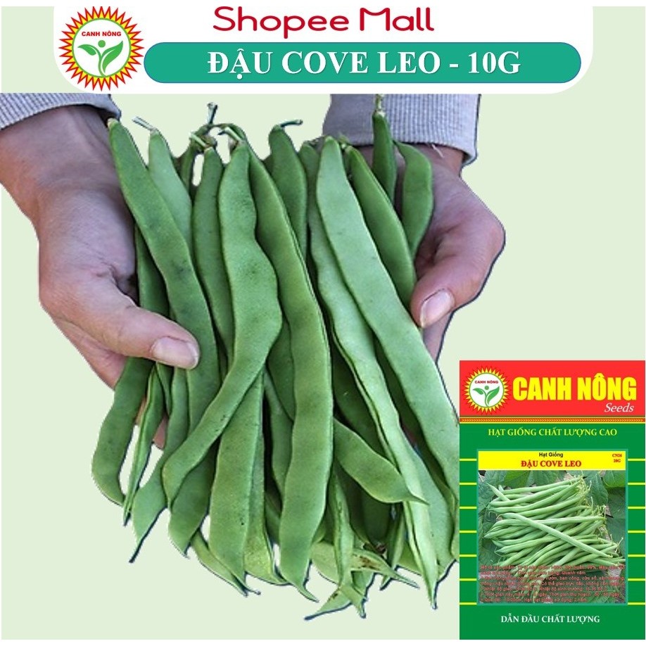 Hạt giống Đậu Cove Leo Cao Sản Siêu Quả (10g~35 hạt) nảy mầm tốt, dễ ...