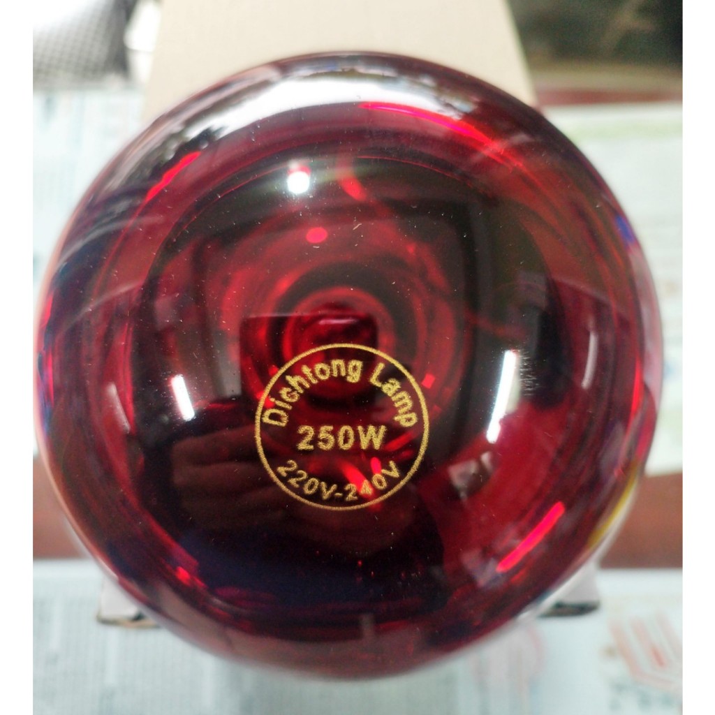 BÓNG ĐÈN HỒNG NGOẠI DỊCH TÔNG E27/ES 250W | Shopee Việt Nam