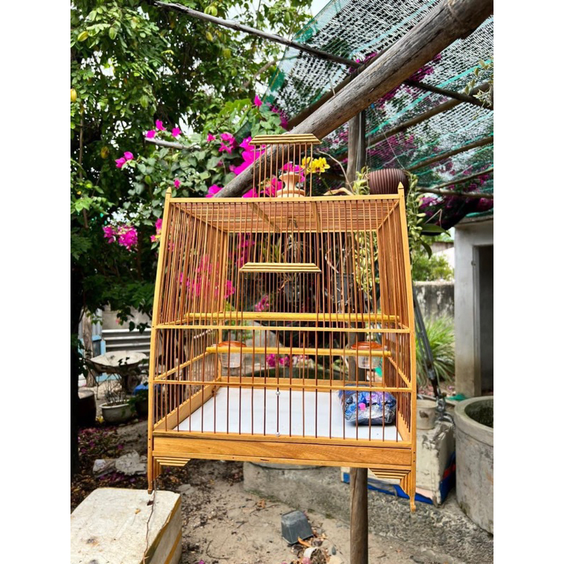 CHỈ SHIP HOẢ TỐC - Lồng chào mào ráp sẵn nan khít, size 36x40cm, gỗ ...