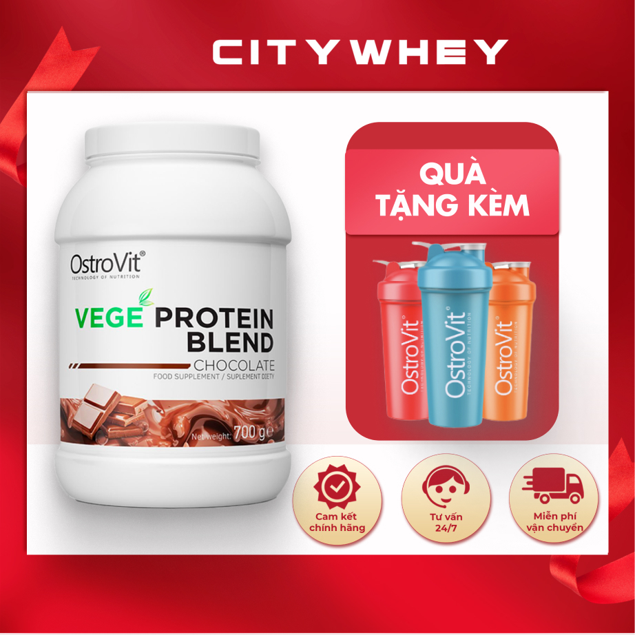 (Kèm Bình) PROTEIN THỰC VẬT VEGE PROTEIN BLEND 23 sv,HỖ TRỢ BỔ SUNG ĐẠM ...