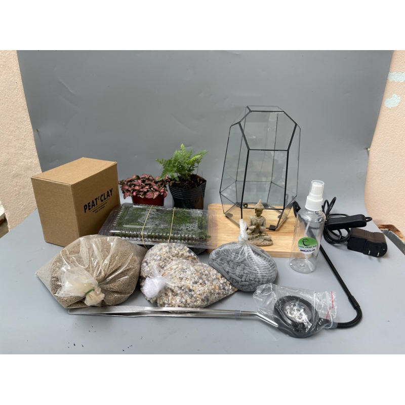 COMBO mini TỰ SETUP 1 CHIẾC BỂ TERRARIUM DIY TẠI NHÀ | Shopee Việt Nam