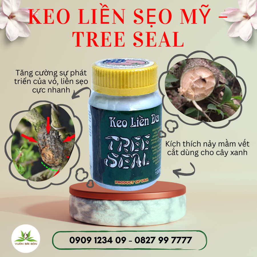 [Nhập khẩu USA] Keo liền da Tree seal lọ (100gr) giúp cây mau liền da ...