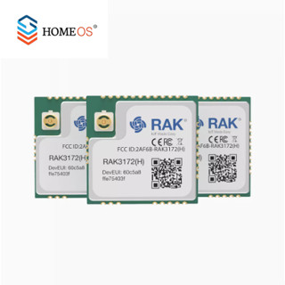 Module RAK3172 | Shopee Việt Nam