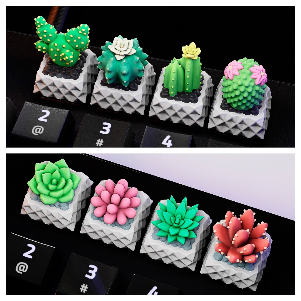 Phôi keycap Cactus, Succulents/Xương rồng, Sen đá | Shopee Việt Nam