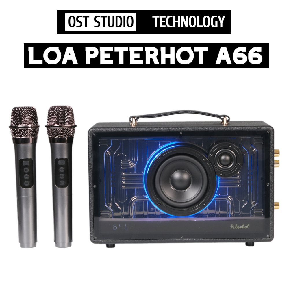Loa Karaoke Peterhot A66 Kèm 2 Micro Cao Cấp, LED Theo Nhạc, Âm Thanh Đỉnh, Bass Căng, Loa ...