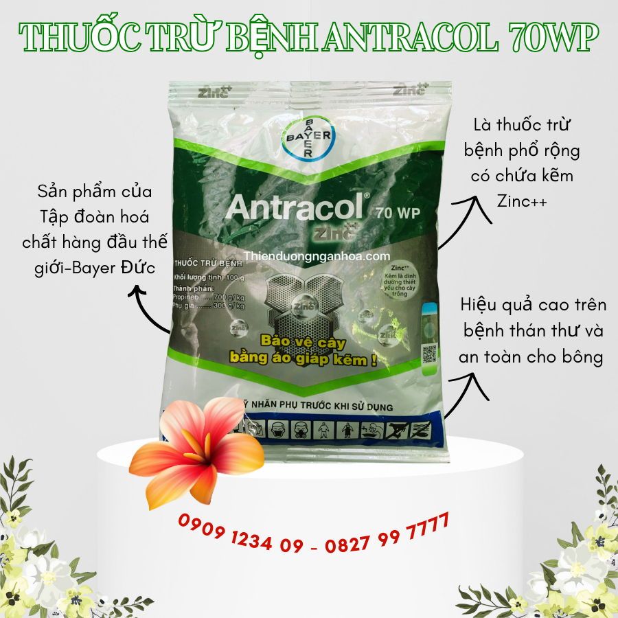 Antracol 70WP 100g Áo giáp kẽm | Vườn Sài Gòn