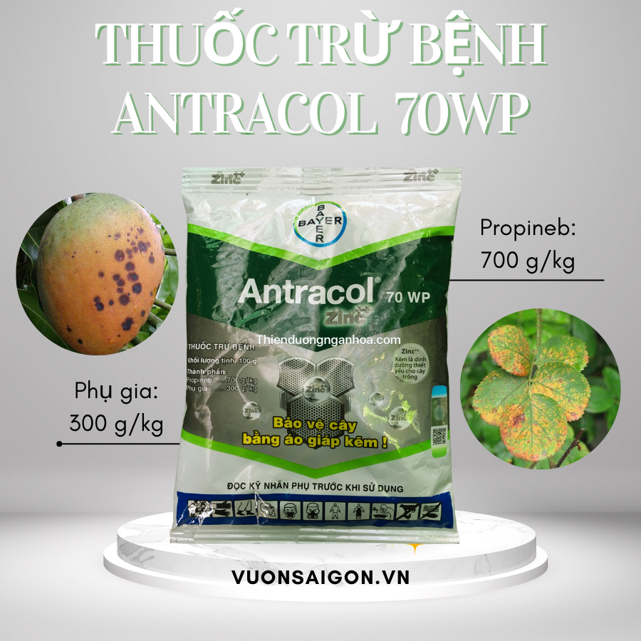 Antracol 70WP 100g Áo giáp kẽm | Vườn Sài Gòn
