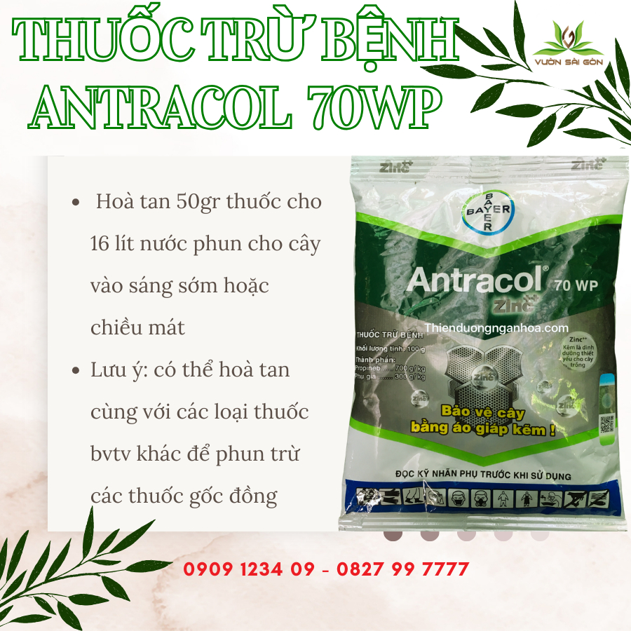 Antracol 70WP 100g Áo giáp kẽm | Vườn Sài Gòn