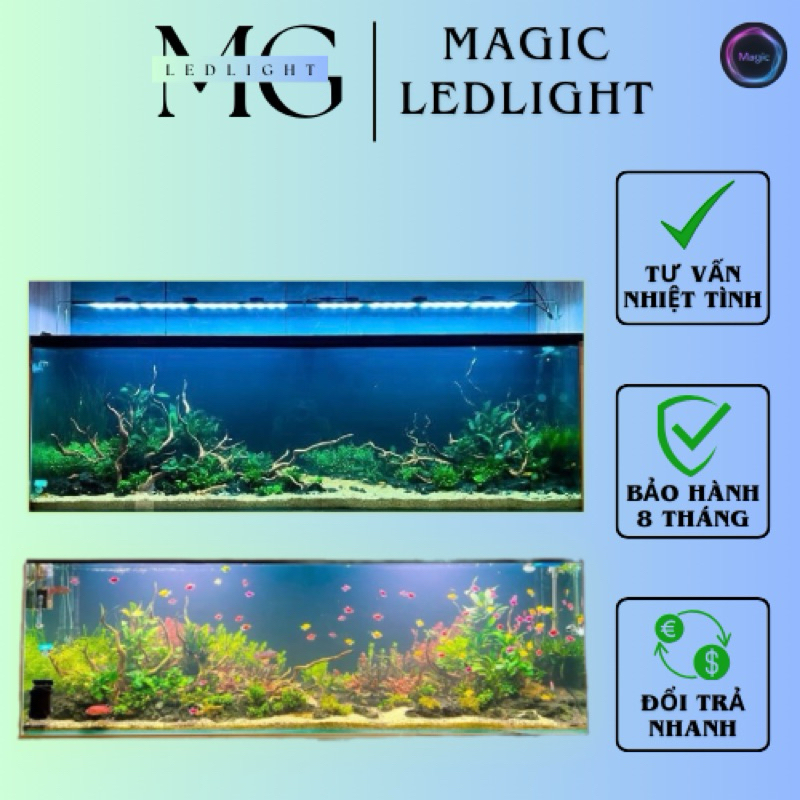 Đèn Thuỷ Sinh WRGB chỉnh 5054 SMD chỉnh App, Bảo hành 8 tháng - Magic Led Lighting | Shopee Việt Nam