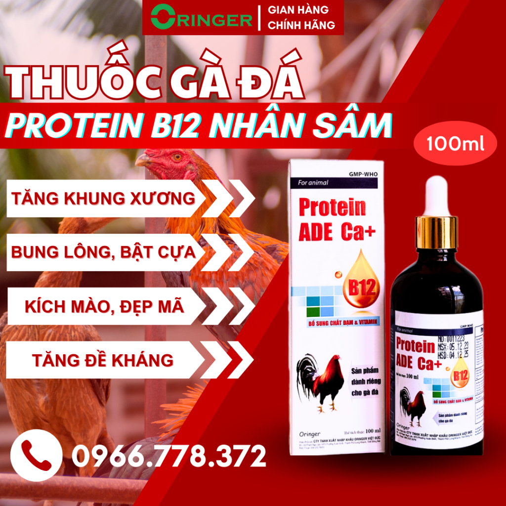 (100ml) Protein b12 chiết suất nhân sâm, đạm gà dành riêng cho gà đá ...