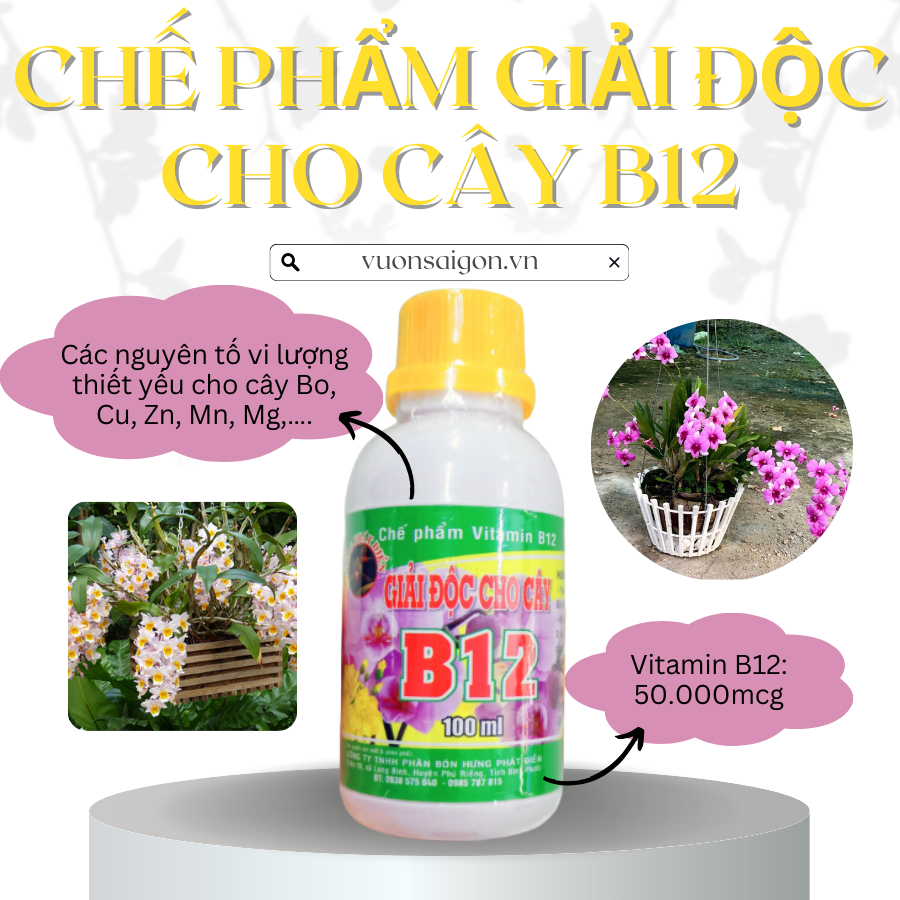 (Combo 2 chai) Chế phẩm giải độc Vitamin B12 chuyên dùng cho hoa, cây cảnh chai 100ml (Vườn Sài ...