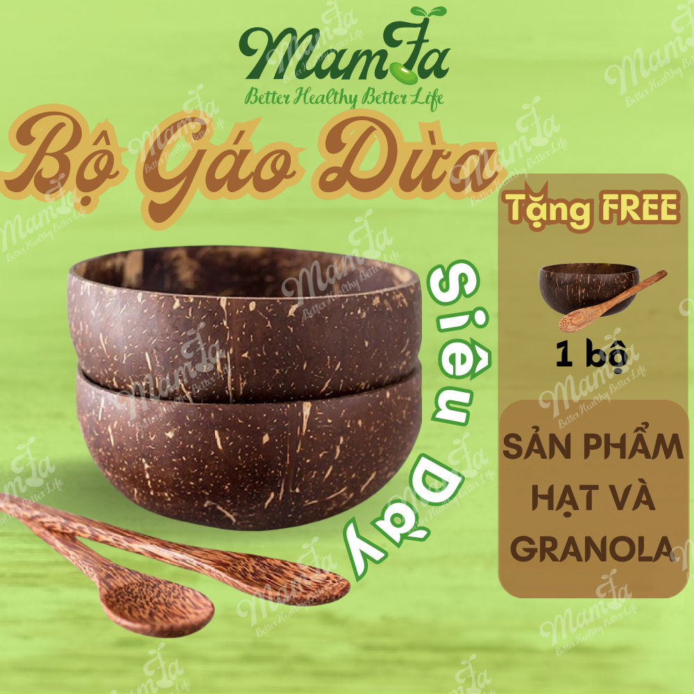 [FREESHIP LOẠI 1]Bát chén gáo dừa và muỗng size lớn loại 1 dùng ăn ngũ cốc granola salad sữa ...