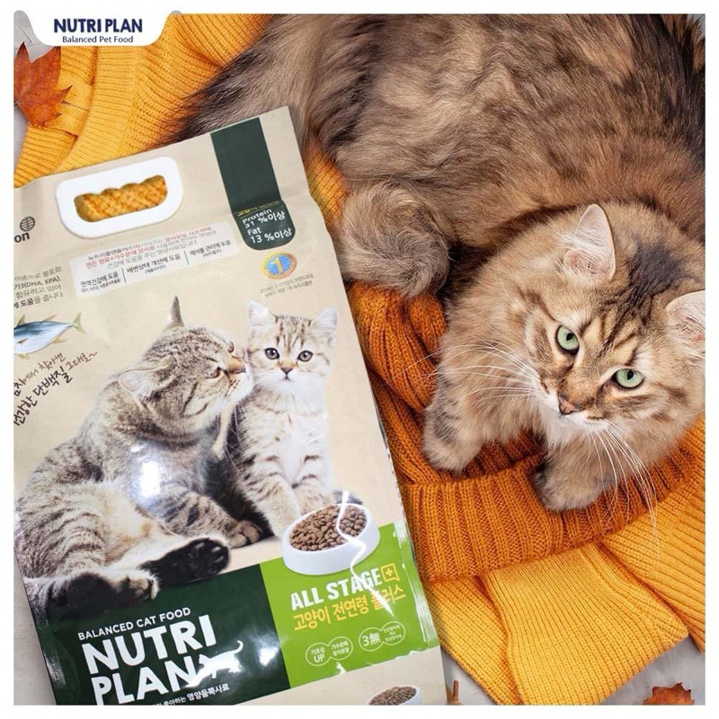 Thức ăn hạt cho mèo mọi lứa tuổi Nutri Plan Cat All Stage Plus 5Kg | Shopee Việt Nam