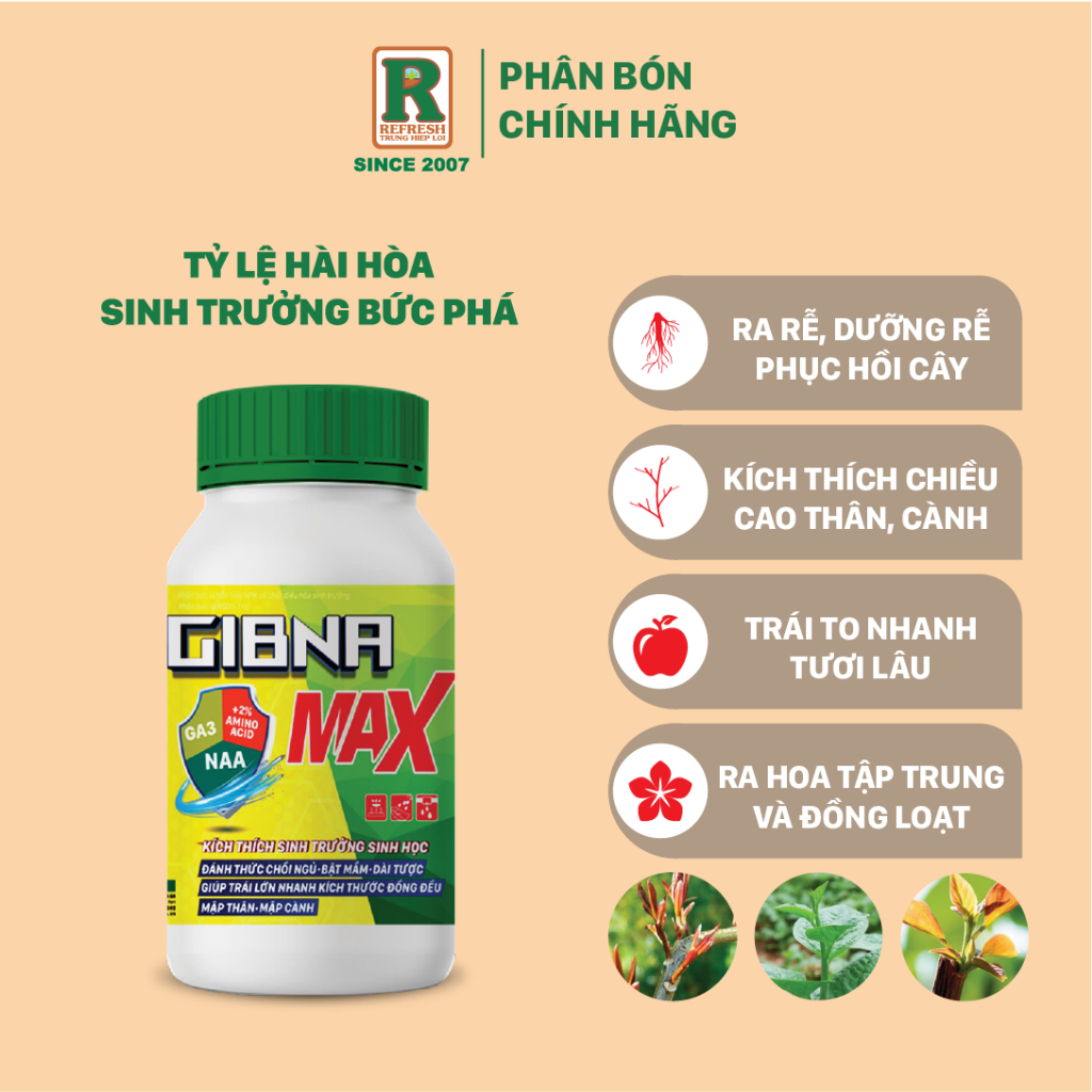 Phân bón lá GIBNA MAX Trung Hiệp Lợi có thành phần GA3 và NAA giúp cây ...