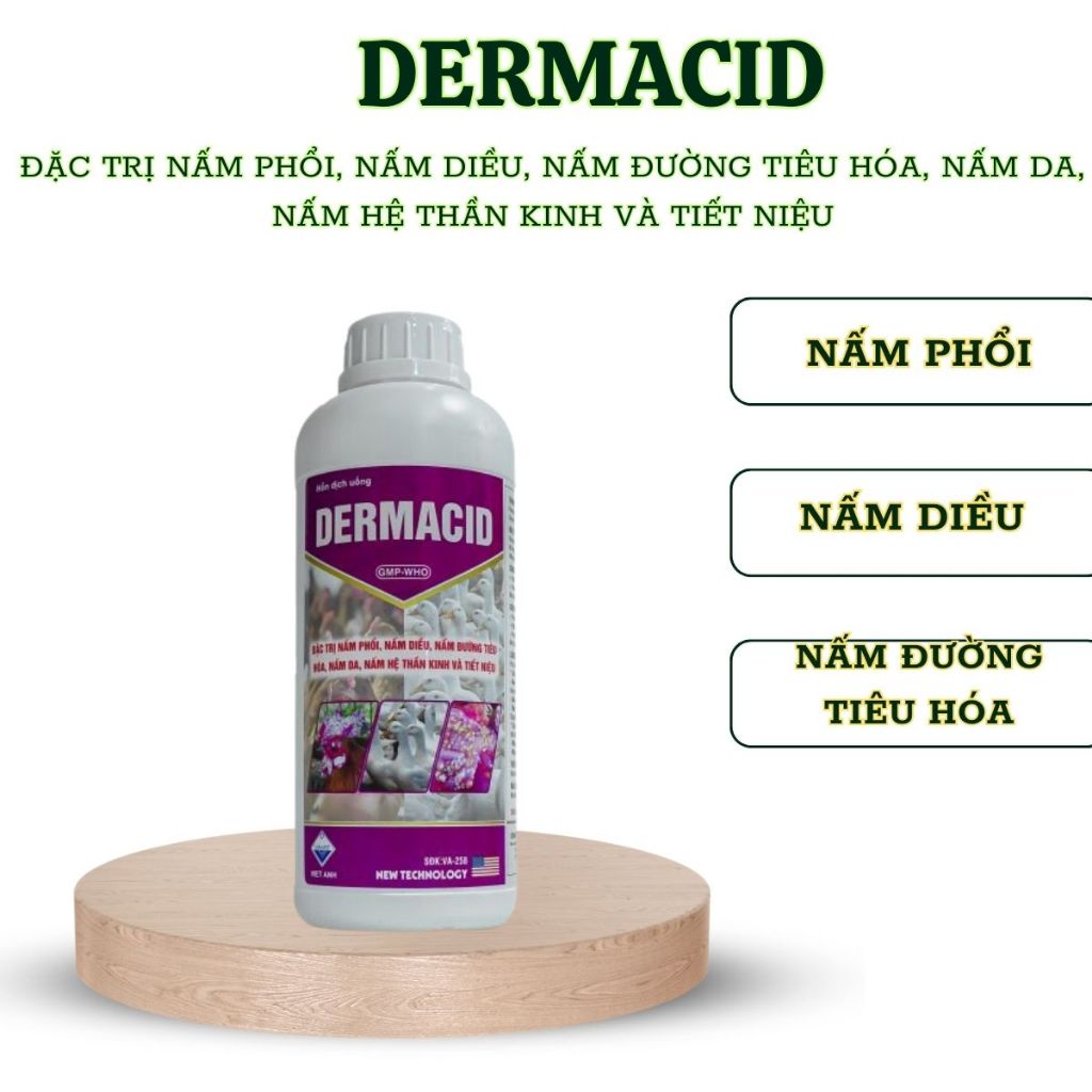 Nấm phổi, nấm diều, nấm đường tiêu hoá- DERMACID | Shopee Việt Nam
