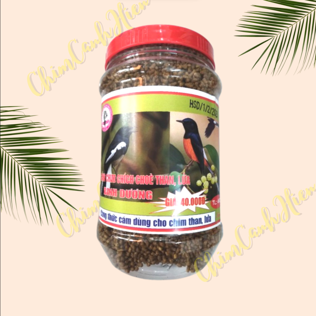 Cám thức ăn chim chích chòe, than lửa Binh Dương - 400gr | Shopee Việt Nam