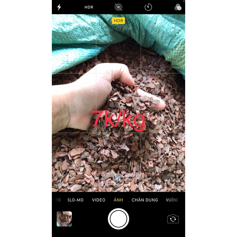 vụn đỗ vỏ thông 7k/kg | Shopee Việt Nam