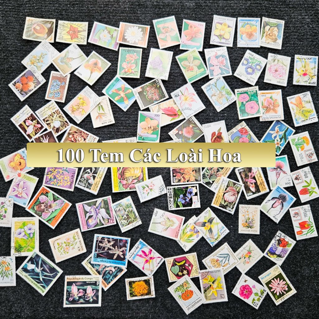 100 Con Tem Về Chủ Đề Các Loài Hoa - Tem Sưu Tập Quốc Tế | Shopee Việt Nam