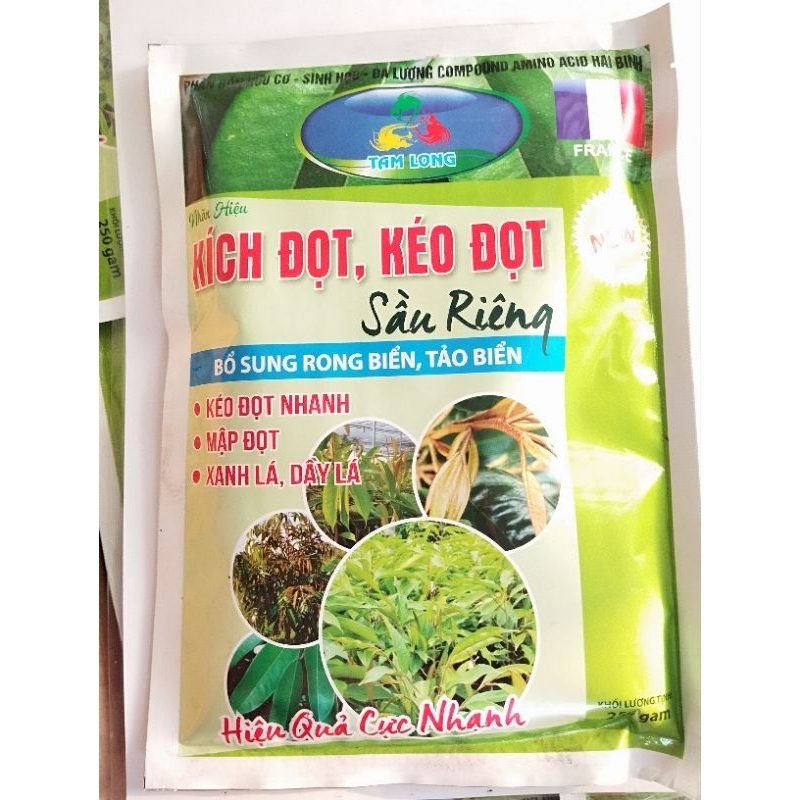 Rong biển, Tảo biển sầu riêng. gói 250g | Shopee Việt Nam