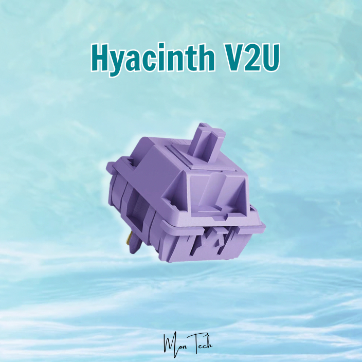 [Hỏa Tốc - HCM] Switch Hyacinth V2U | Shopee Việt Nam