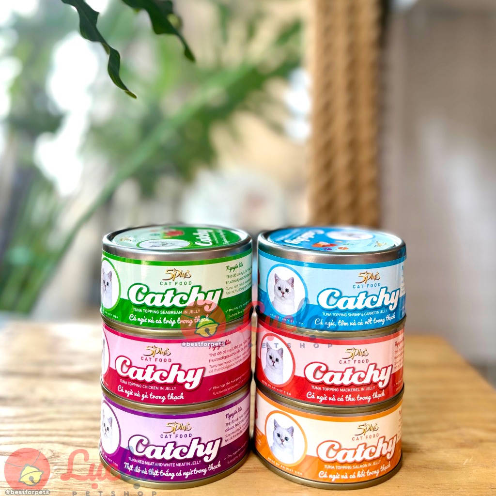 Pate Catchy nhiều vị hấp dẫn cho mèo - Lon 160g chính hãng | Shopee ...