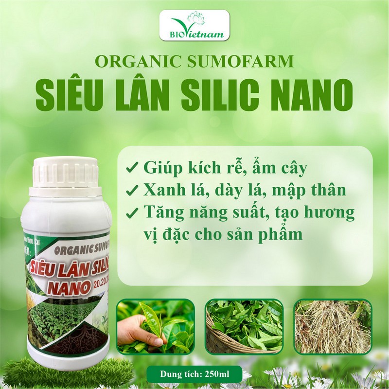 Phân bón hữu cơ Siêu Lân Silic Nano tăng khả năng chống chịu sâu bệnh ...