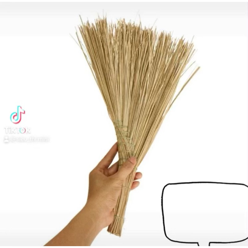 Chổi Chà Rễ Dừa Quét Sân Mini 20-65cm - Chất Liệu Tự Nhiên, Bền Chắc ...