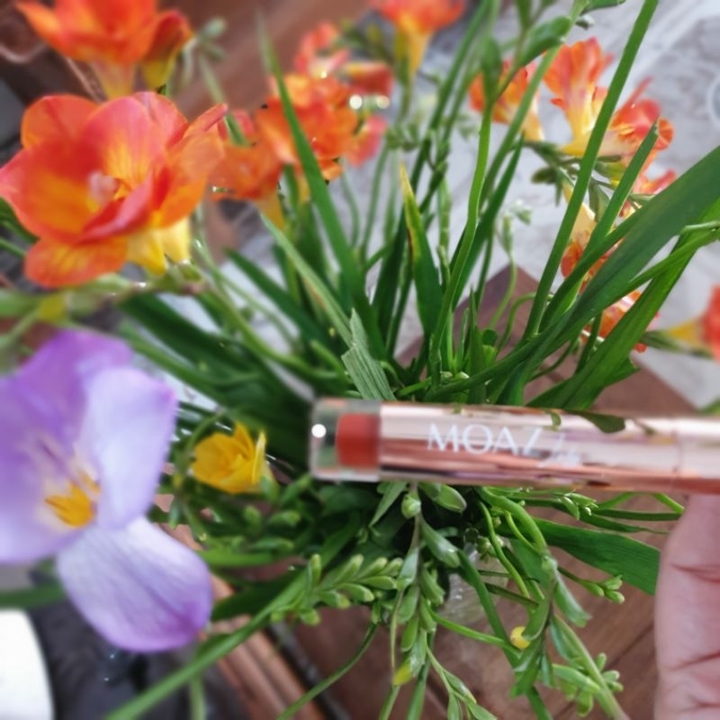 son moaz đủ ba màu cho c e lựa chọn | Shopee Việt Nam