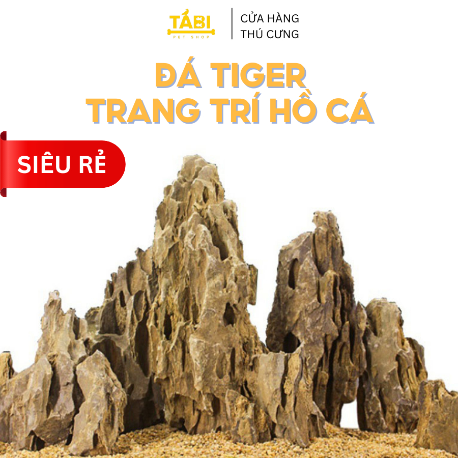 Đá Tiger Setup Hồ Cá Thuỷ Sinh - Đá Tiger Vàng Trang Trí Bể Cá [TIGER ...