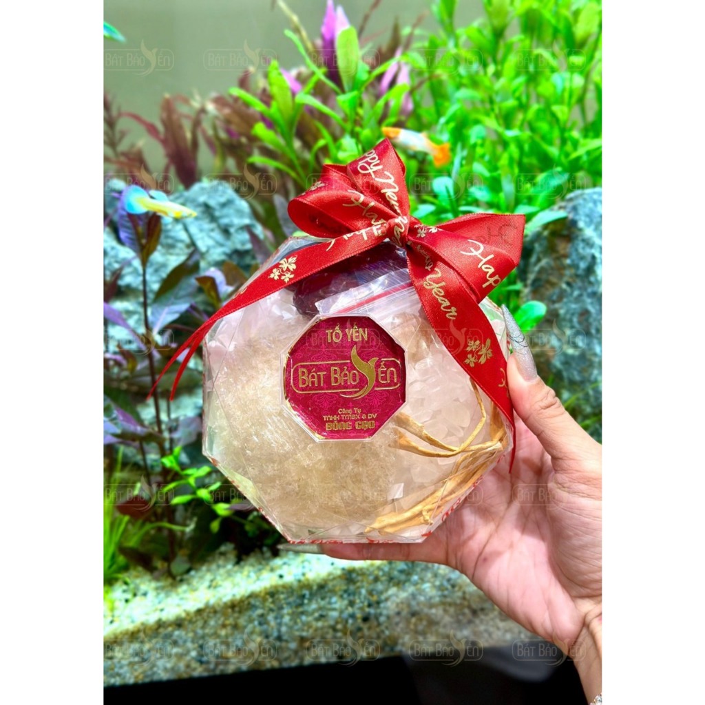 Set 1 Tai Yến Tổ Xơ Mướp Dày Xơ Loại 1 - [ BÁT BẢO YẾN ] | Shopee Việt Nam