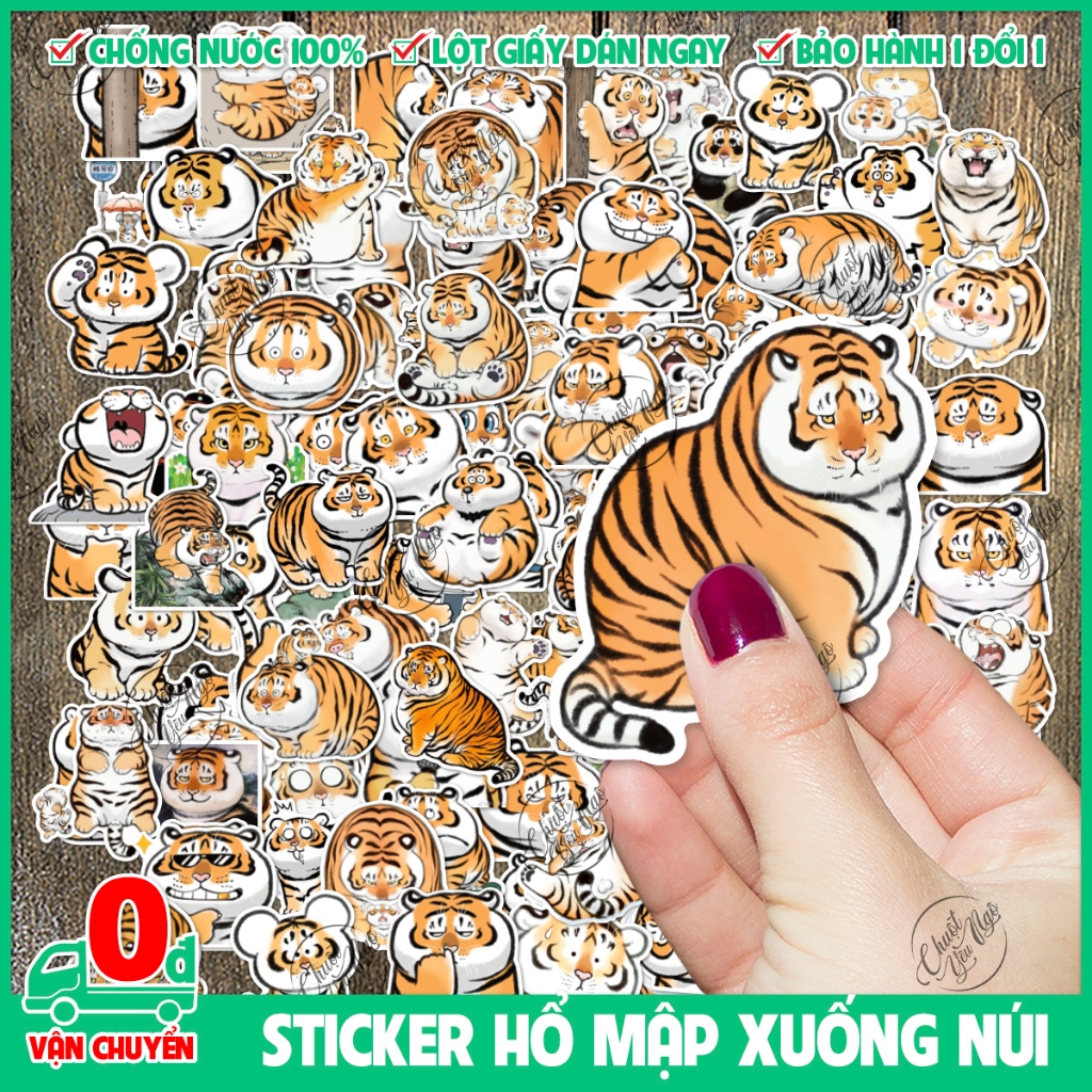Combo 100 sticker decal hình dán mảnh HỔ MẬP ú vô tri xuống núi chống ...