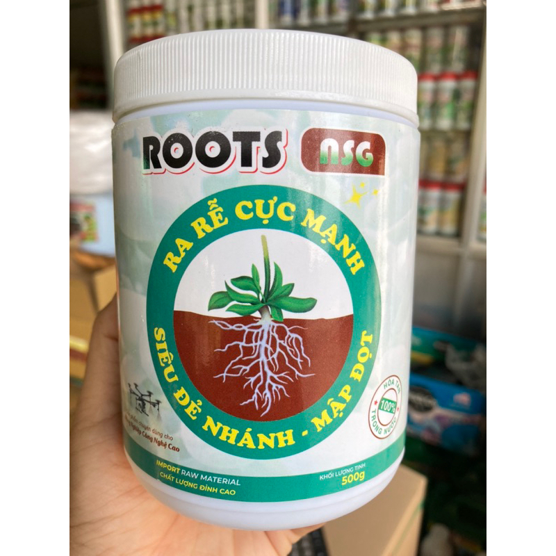 Root (500gr) kích ra rễ cực mạnh, mập đọt bung chồi xanh lá, ngâm giống ...